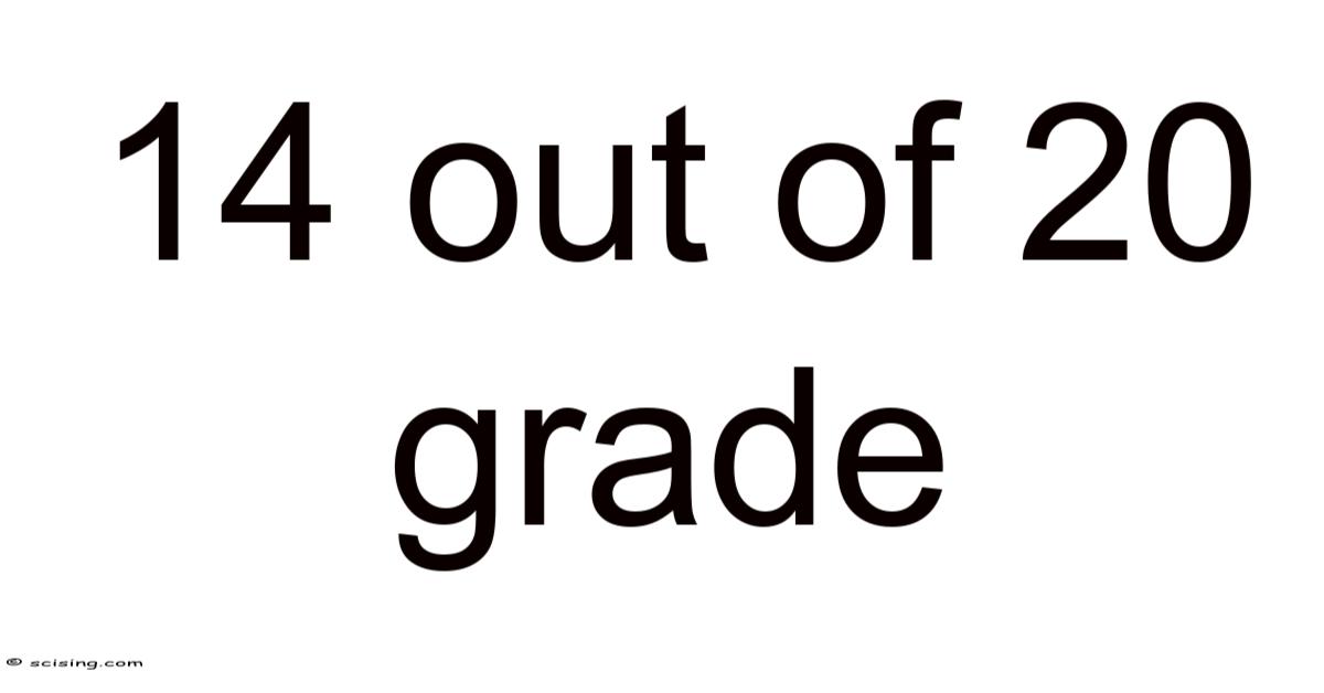 14 Out Of 20 Grade