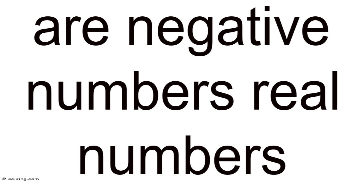 Are Negative Numbers Real Numbers