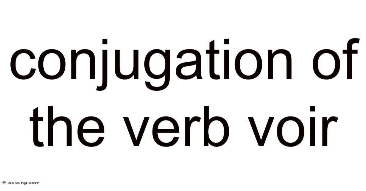 Conjugation Of The Verb Voir