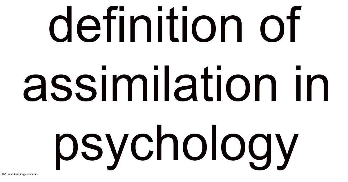 Definition Of Assimilation In Psychology