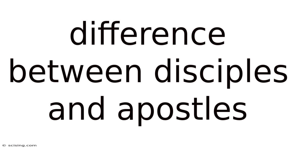 Difference Between Disciples And Apostles