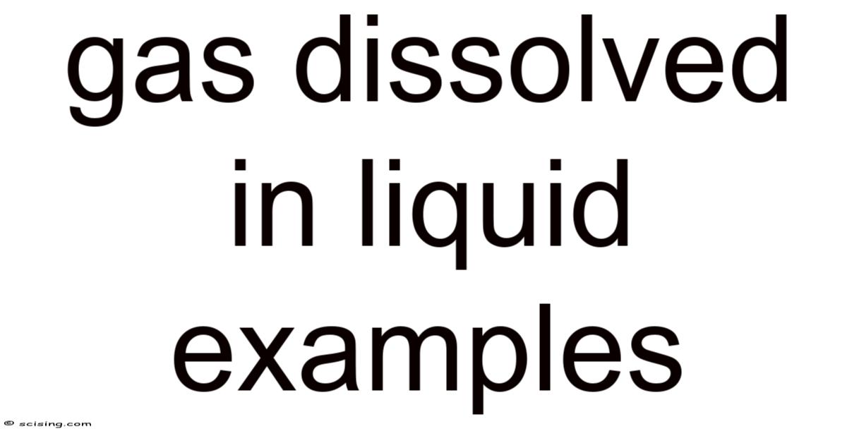 Gas Dissolved In Liquid Examples