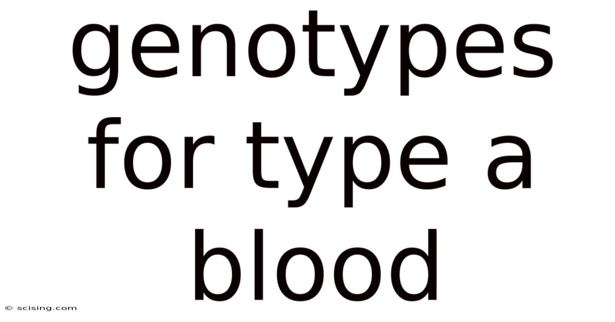 Genotypes For Type A Blood