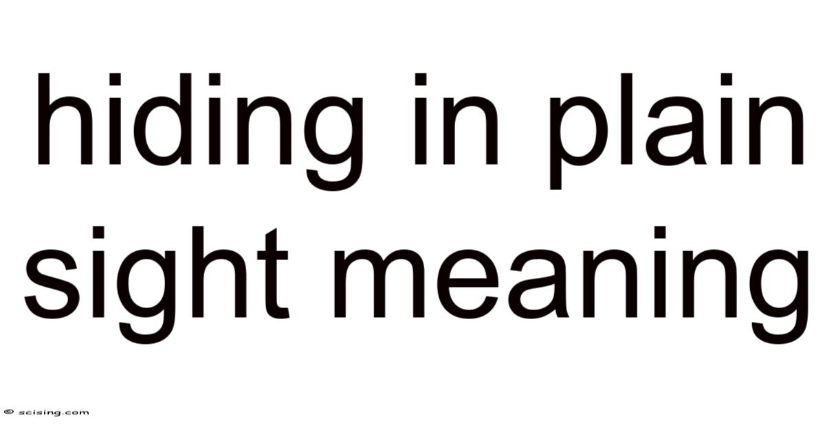 Hiding In Plain Sight Meaning