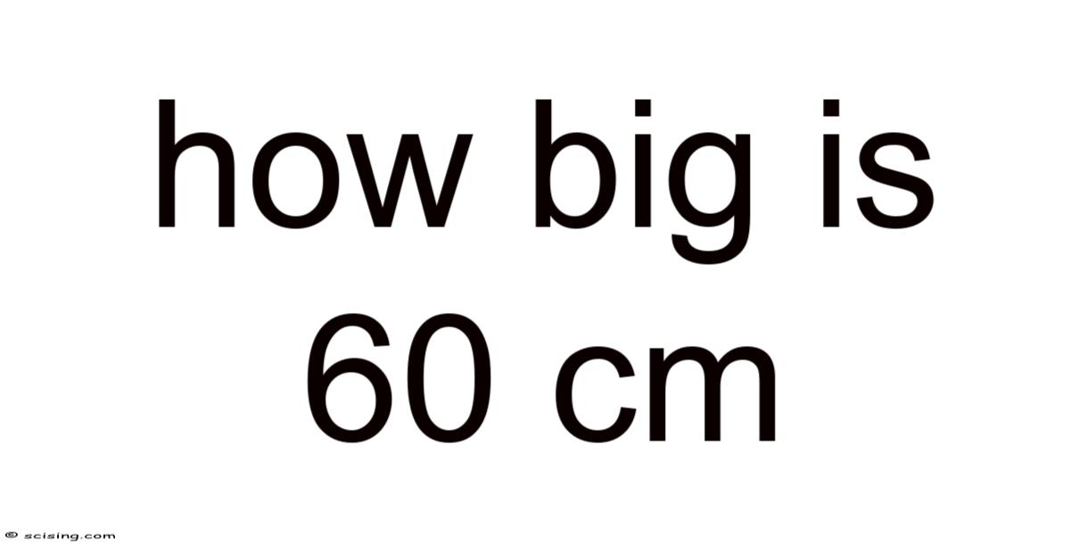 How Big Is 60 Cm