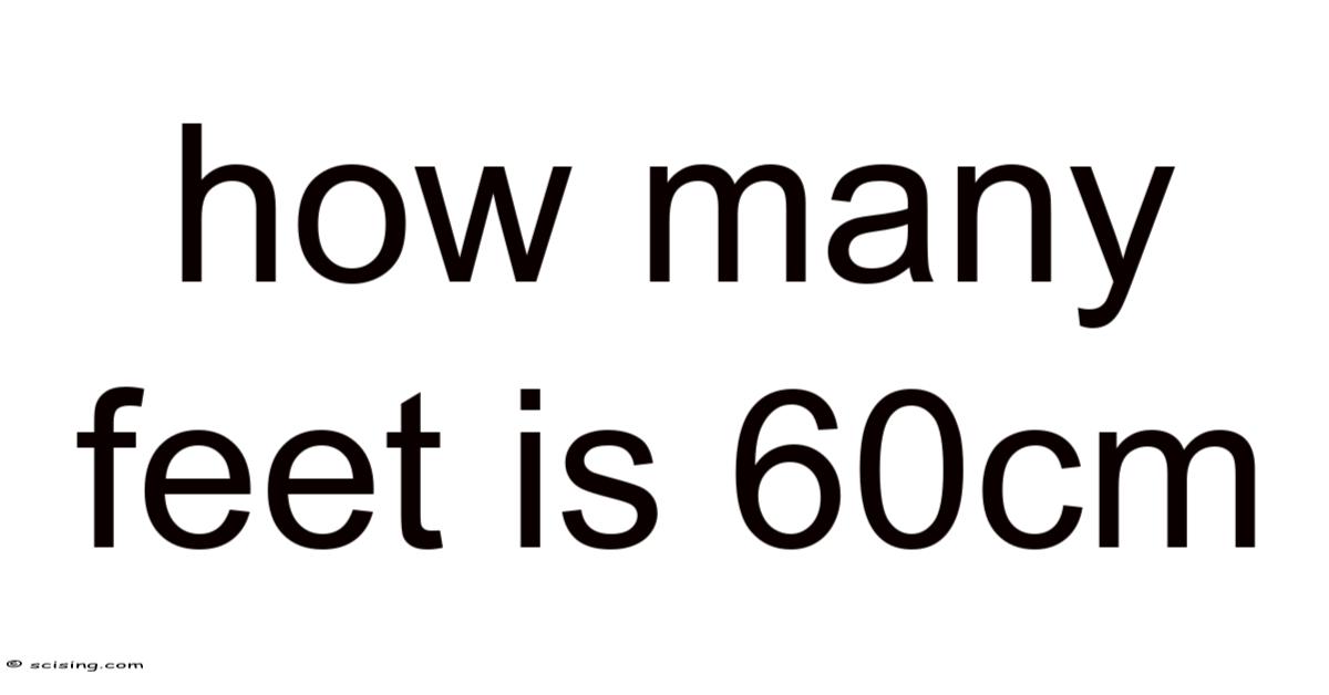 How Many Feet Is 60cm