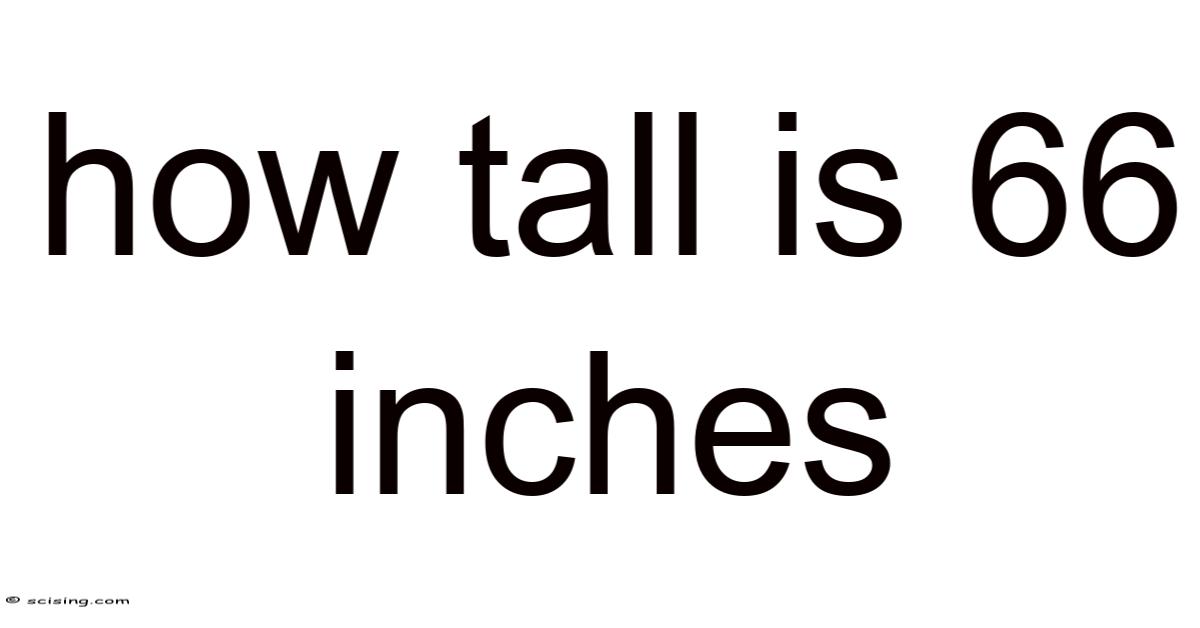 How Tall Is 66 Inches