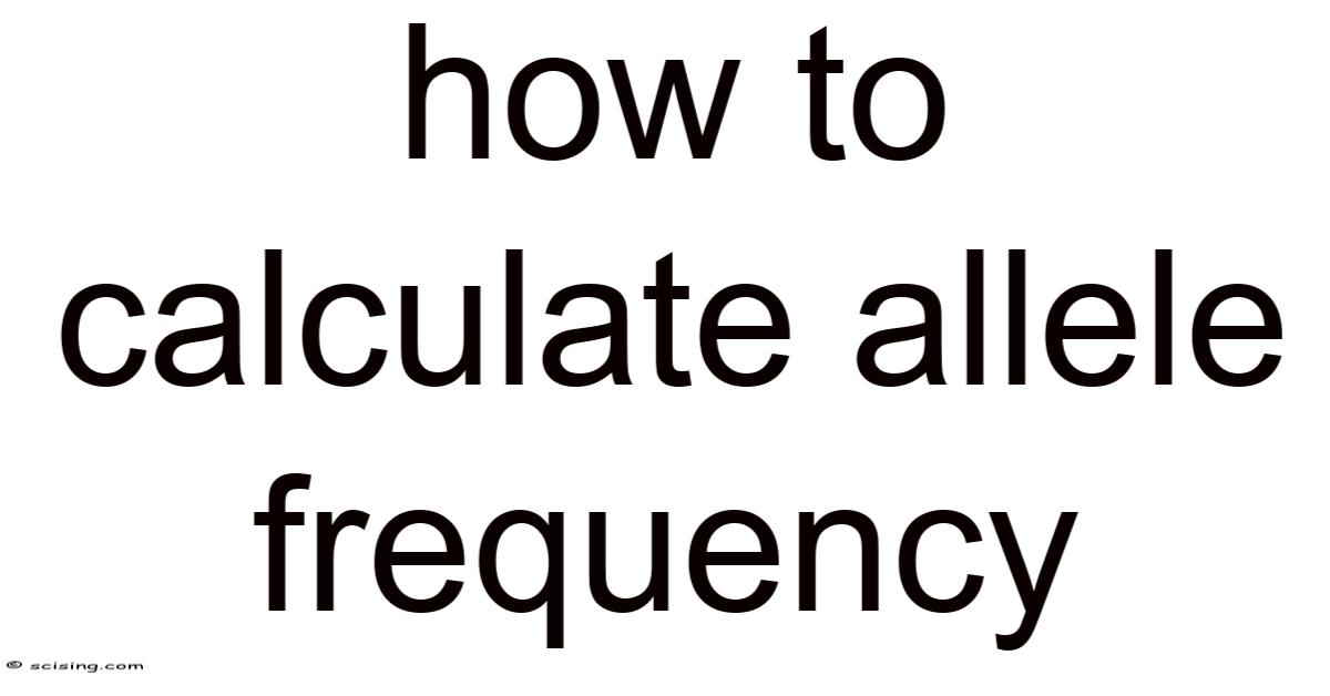 How To Calculate Allele Frequency