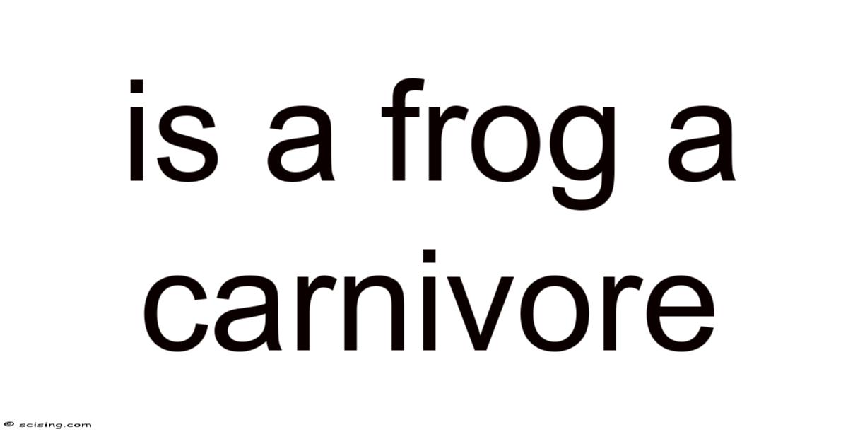 Is A Frog A Carnivore