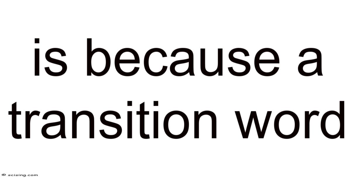 Is Because A Transition Word