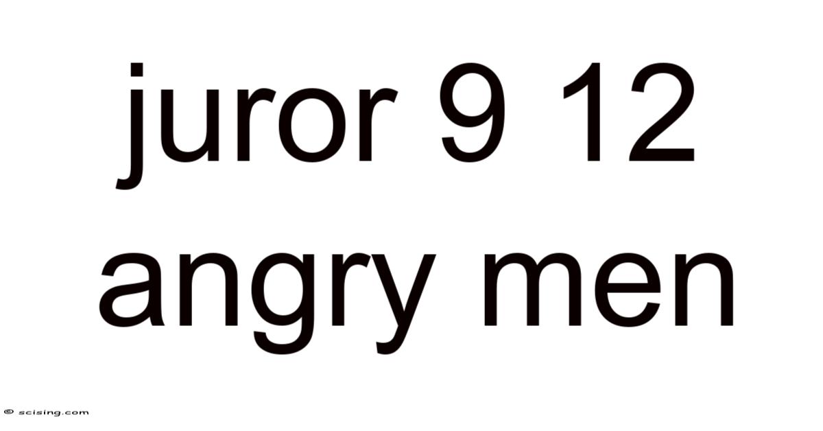 Juror 9 12 Angry Men