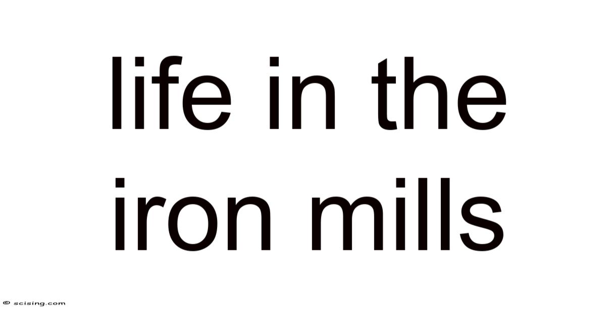 Life In The Iron Mills