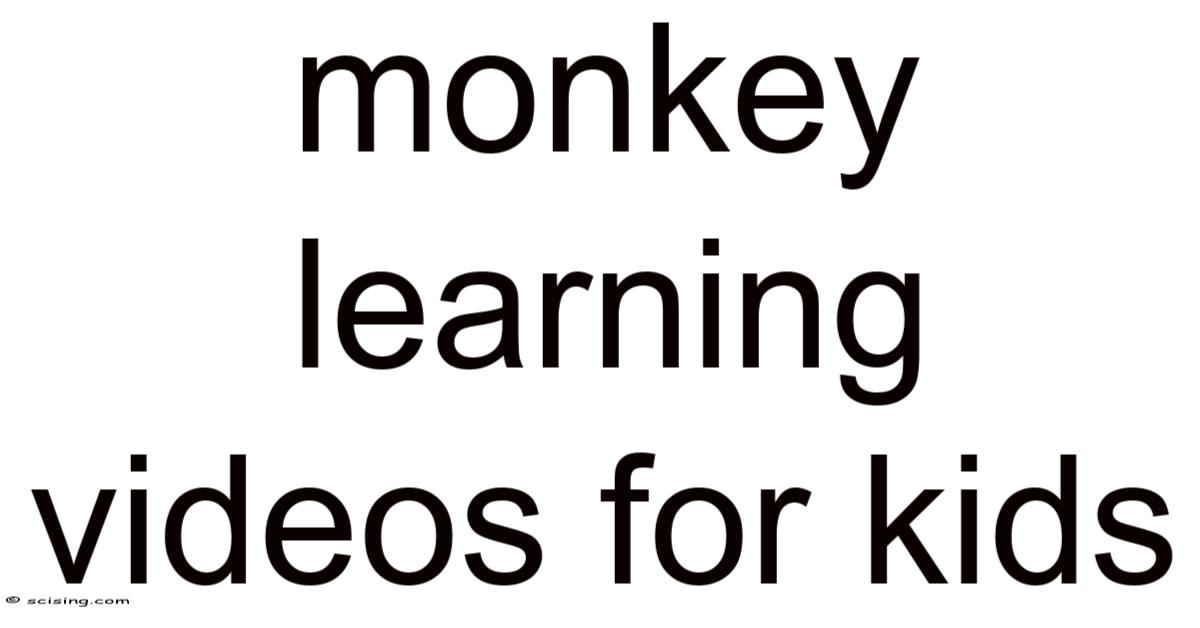 Monkey Learning Videos For Kids