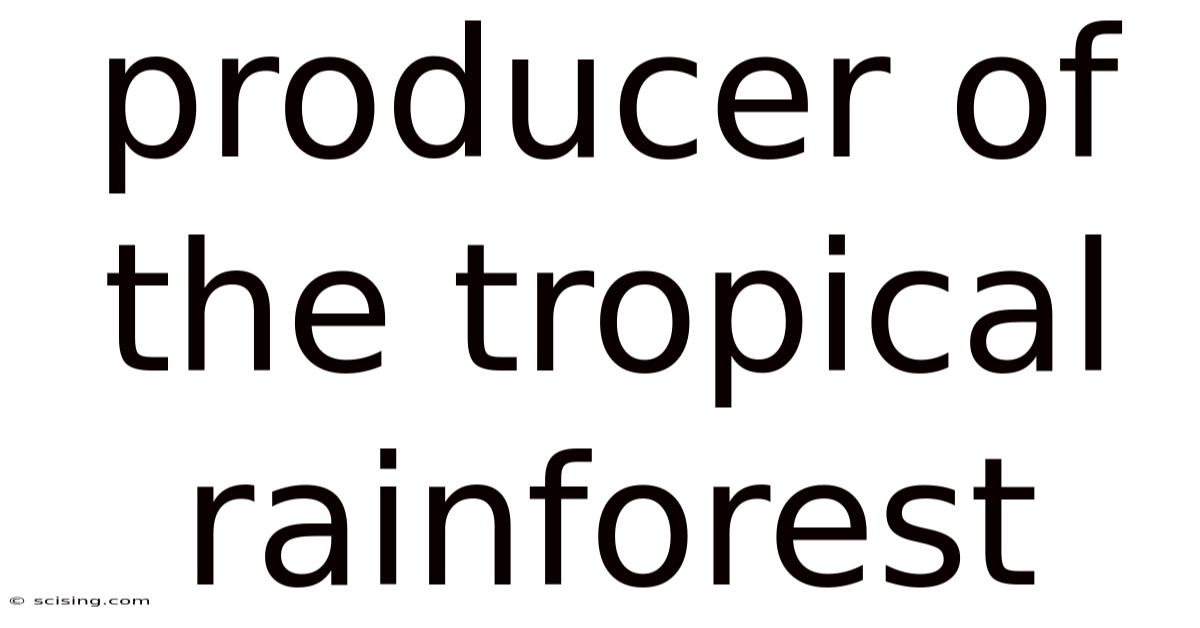 Producer Of The Tropical Rainforest