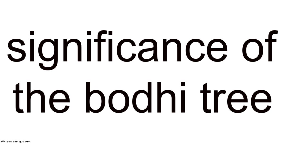 Significance Of The Bodhi Tree