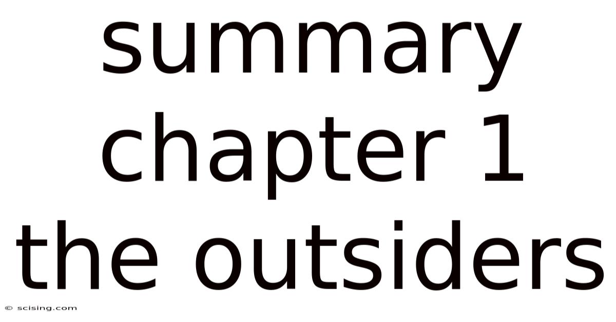 Summary Chapter 1 The Outsiders
