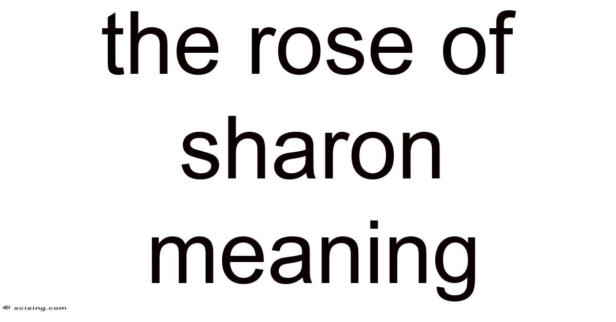 The Rose Of Sharon Meaning