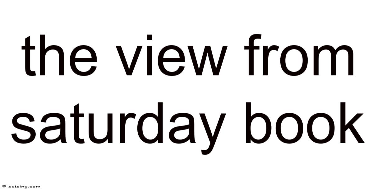 The View From Saturday Book