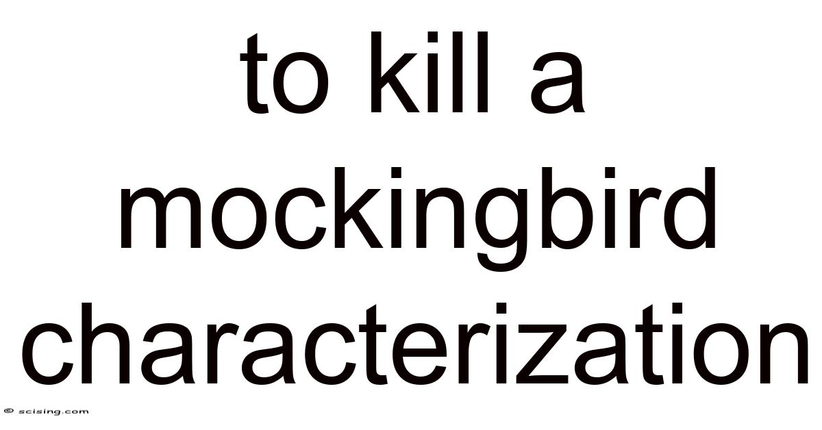 To Kill A Mockingbird Characterization