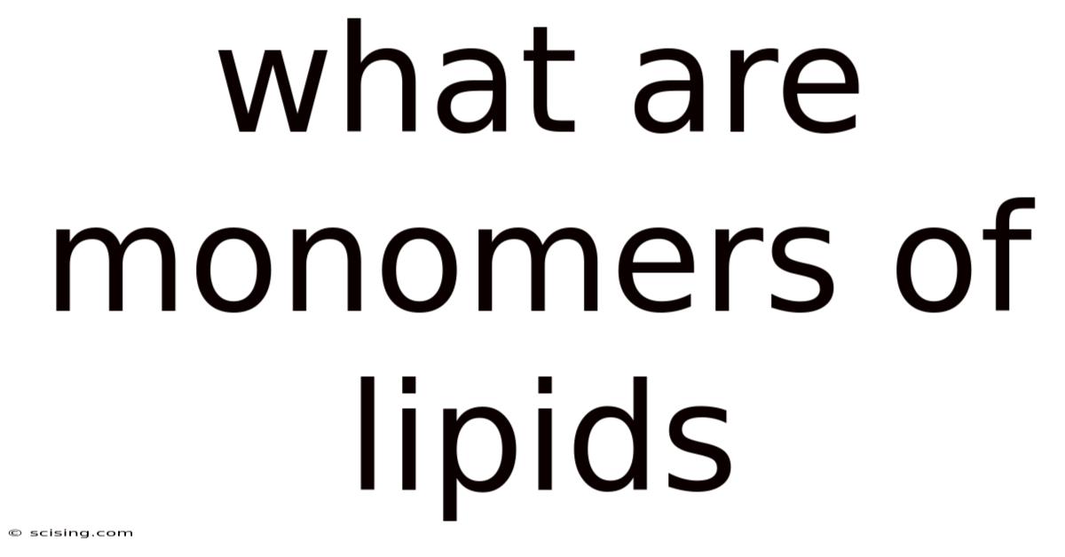 What Are Monomers Of Lipids