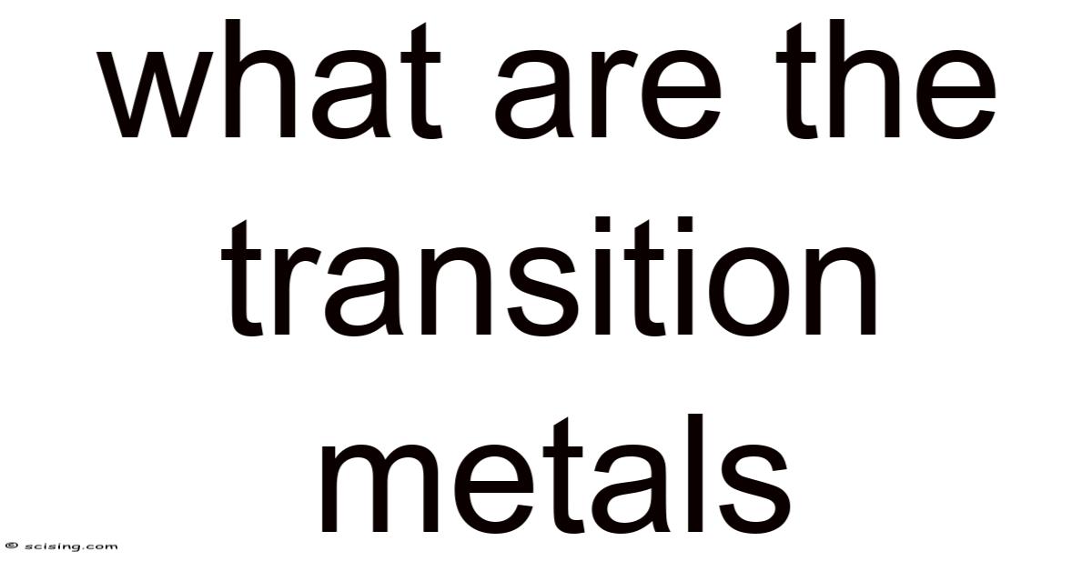 What Are The Transition Metals