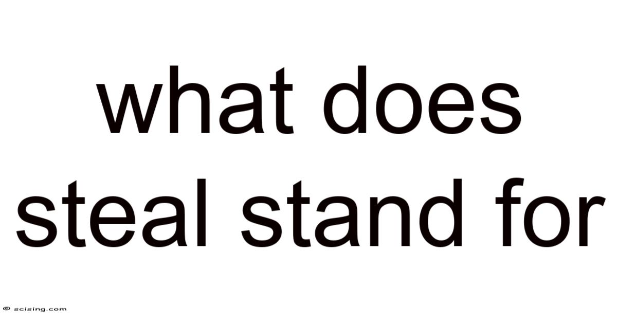 What Does Steal Stand For
