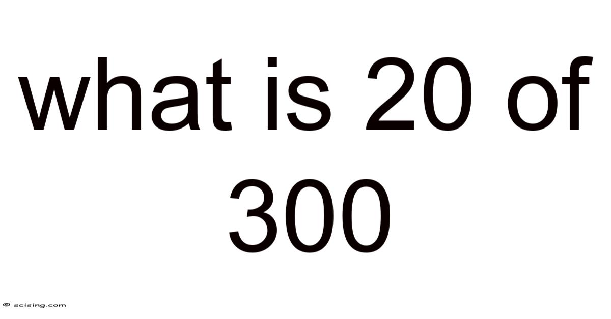 What Is 20 Of 300