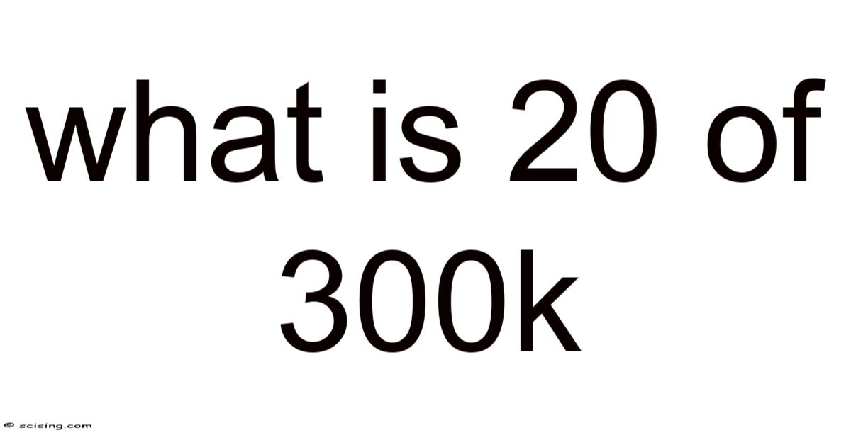 What Is 20 Of 300000