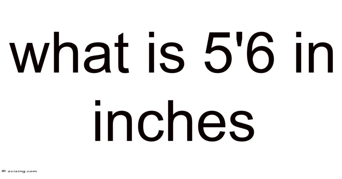 What Is 5'6 In Inches
