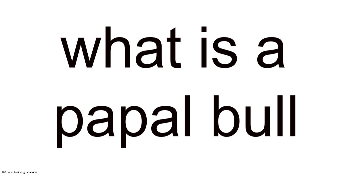 What Is A Papal Bull