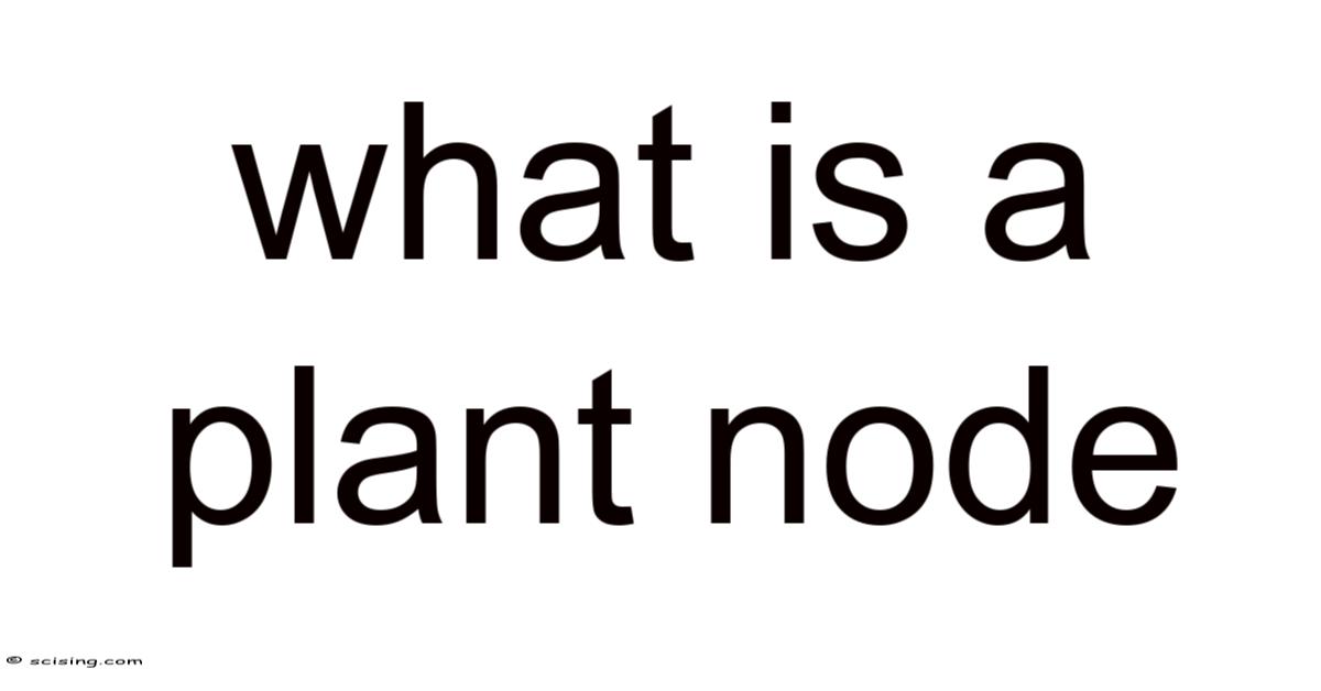 What Is A Plant Node