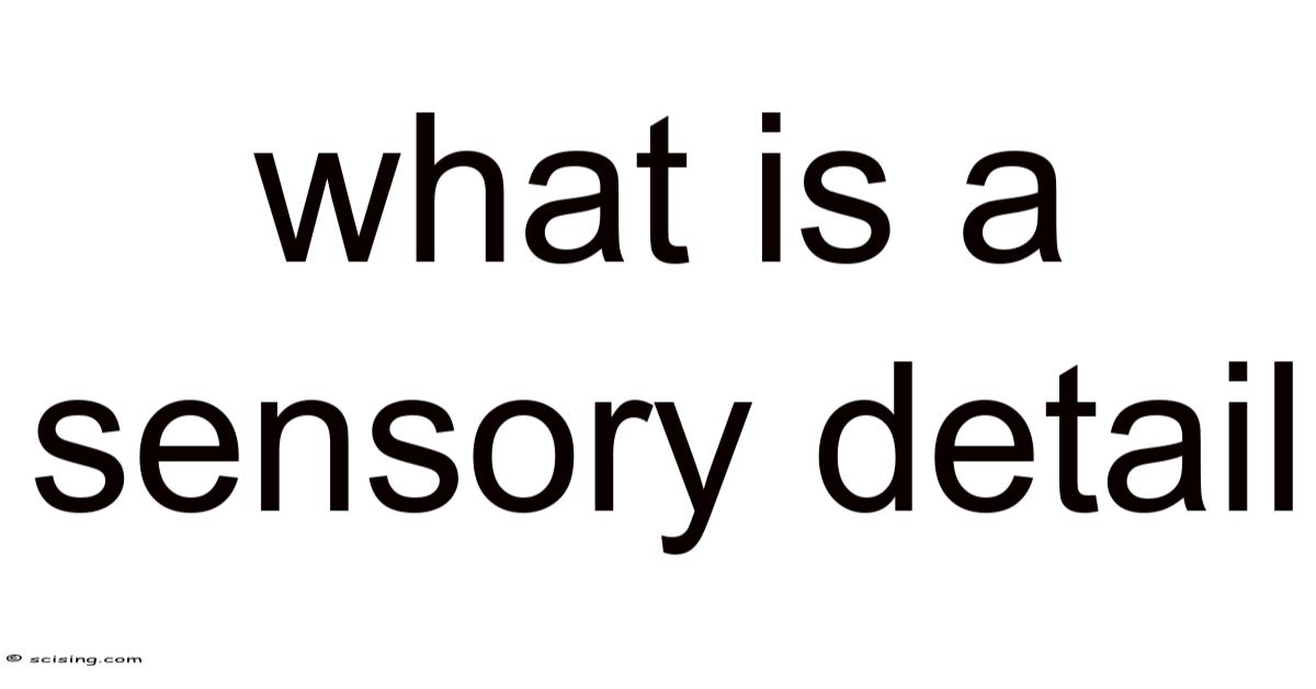 What Is A Sensory Detail