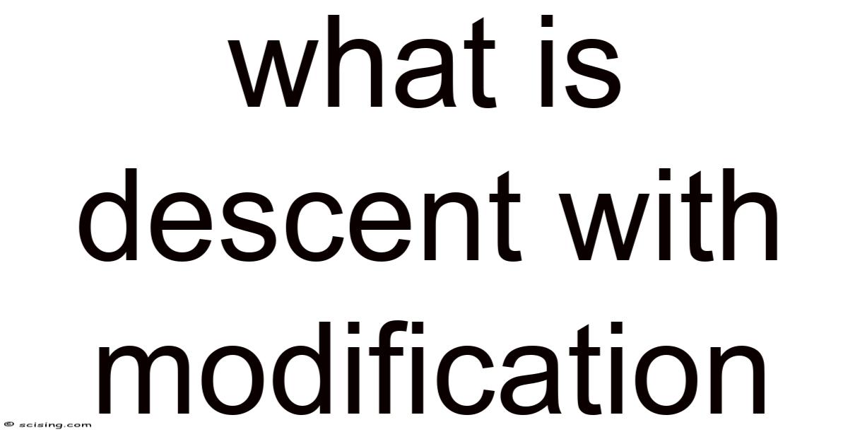 What Is Descent With Modification