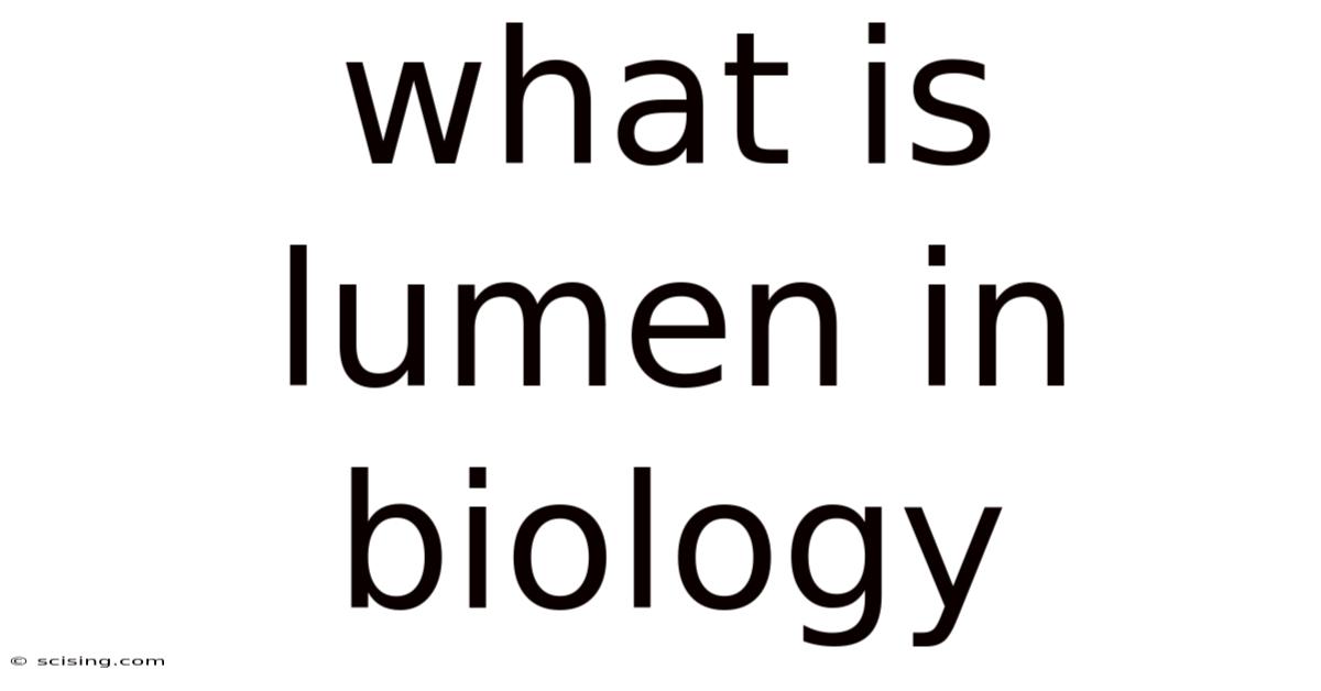 What Is Lumen In Biology