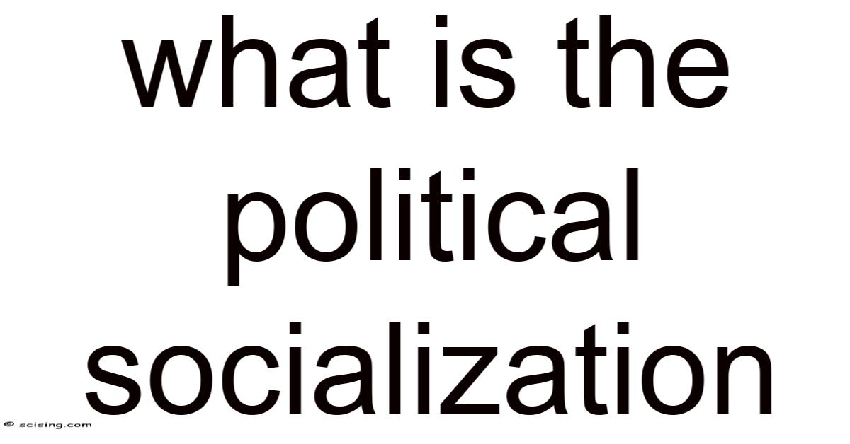 What Is The Political Socialization