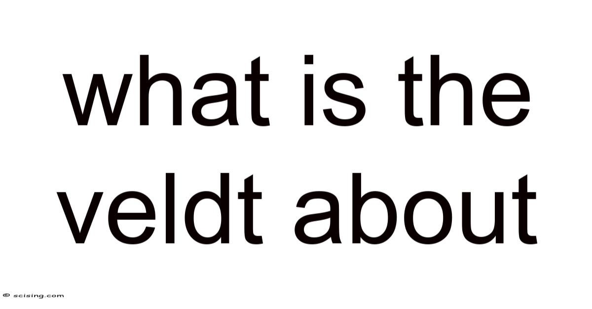 What Is The Veldt About